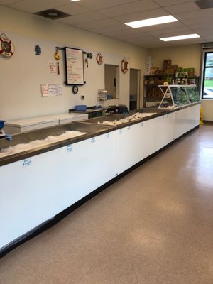 FISH MARKET BAR AND GRILL - Updated August 2025 - 320 Photos & 310 ...