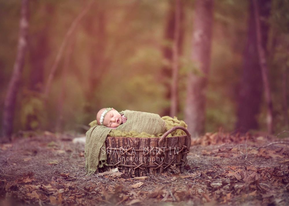 SHARLA MARTIN PHOTOGRAPHY - 32 Photos - Austin, Texas - Session ...