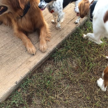 EDMOND DOG PARK - Updated January 2026 - 49 Photos & 30 Reviews - 33RD ...