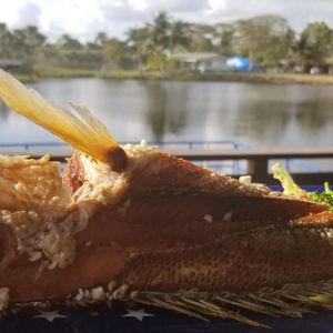 BAHAMAS FISH MARKET & RESTAURANT - 184 Photos & 118 Reviews - Seafood ...