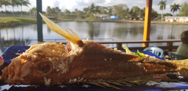 SONIA’S SEAFOOD RESTAURANT - 109 Photos & 80 Reviews - Seafood Markets ...