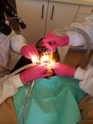 LEEANNE SERA, DDS - Updated January 2026 - 31 Reviews - 2585 Homestead ...