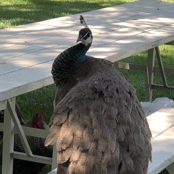 MERCED FRUIT BARN - Updated April 2025 - 43 Photos & 26 Reviews - 4526 ...