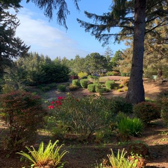 THE DINING ROOM AT SALISHAN - Updated December 2025 - 21 Photos - 7760 ...