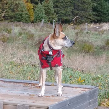 MONIGRAM COFFEE ROASTERS - Updated June 2024 - 81 Photos & 56 Reviews ...