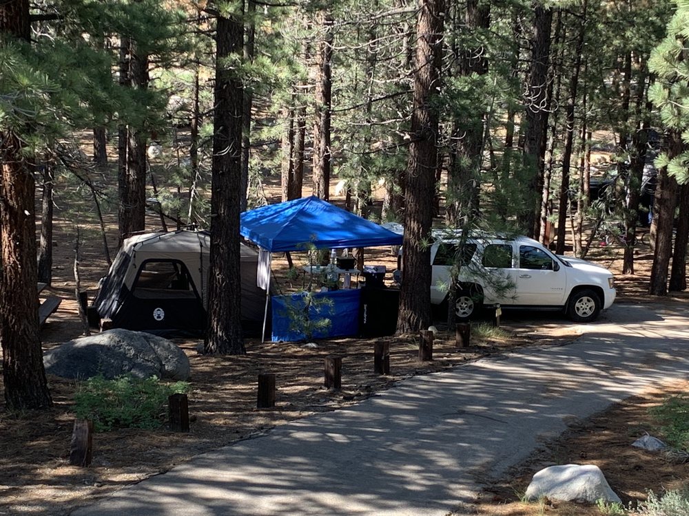 NEW SHADY REST CAMPGROUNDS - 23 Photos & 18 Reviews - 2500 Main ...