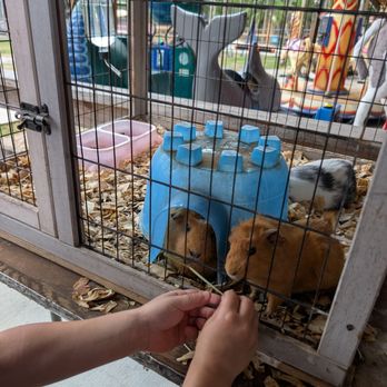 GOOD MOOD RANCH - Updated December 2025 - 148 Photos & 18 Reviews - 306 ...