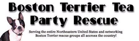 BOSTON TERRIER TEA PARTY RESCUE - Updated July 2025 - 59 W Washington ...