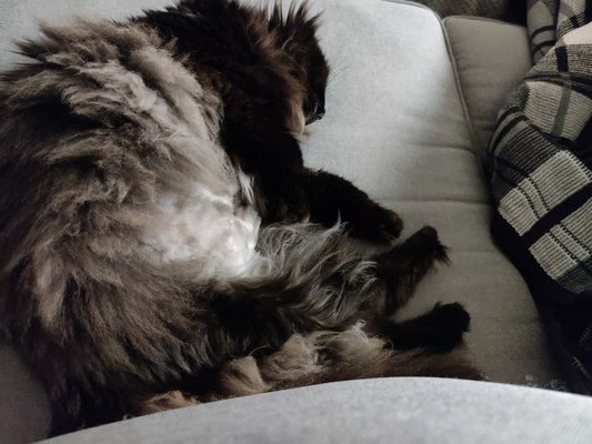 MENIFEE VALLEY HUMANE SOCIETY - Updated December 2025 - Sun City ...