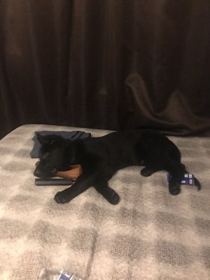 IUOE LOCAL 12 - Updated July 2025 - 150 Corson St, Pasadena, California ...