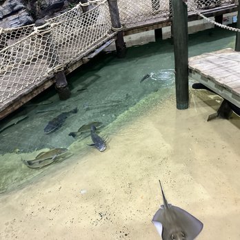 LONG ISLAND AQUARIUM - Updated October 2025 - 1190 Photos & 343 Reviews ...