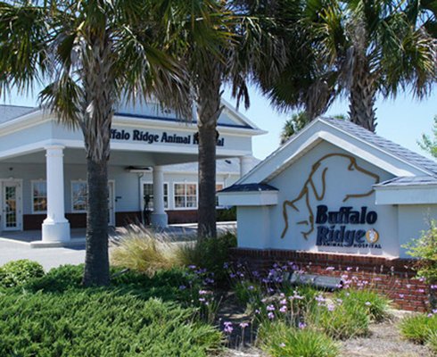 VCA BUFFALO RIDGE ANIMAL HOSPITAL - Updated January 2026 - 12 Photos ...