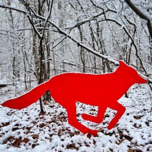 ANGELINE - Updated October 2025 - 98 Photos & 48 Reviews - 581 Delaware ...