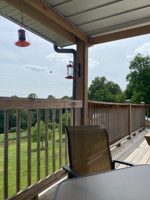 FRENCH RIDGE VINEYARDS & WINERY - 29 Photos & 20 Reviews - 2586 ...