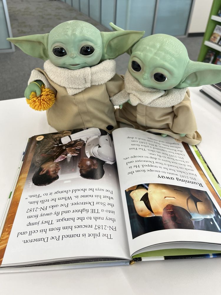 BULLITT COUNTY LIBRARY - Updated December 2024 - 11 Photos - 250 Frank ...