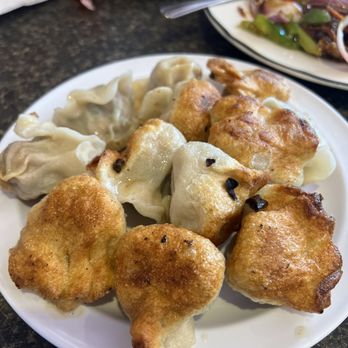 DUMPLING QUEEN - Updated August 2024 - 724 Photos & 450 Reviews - 13942 ...