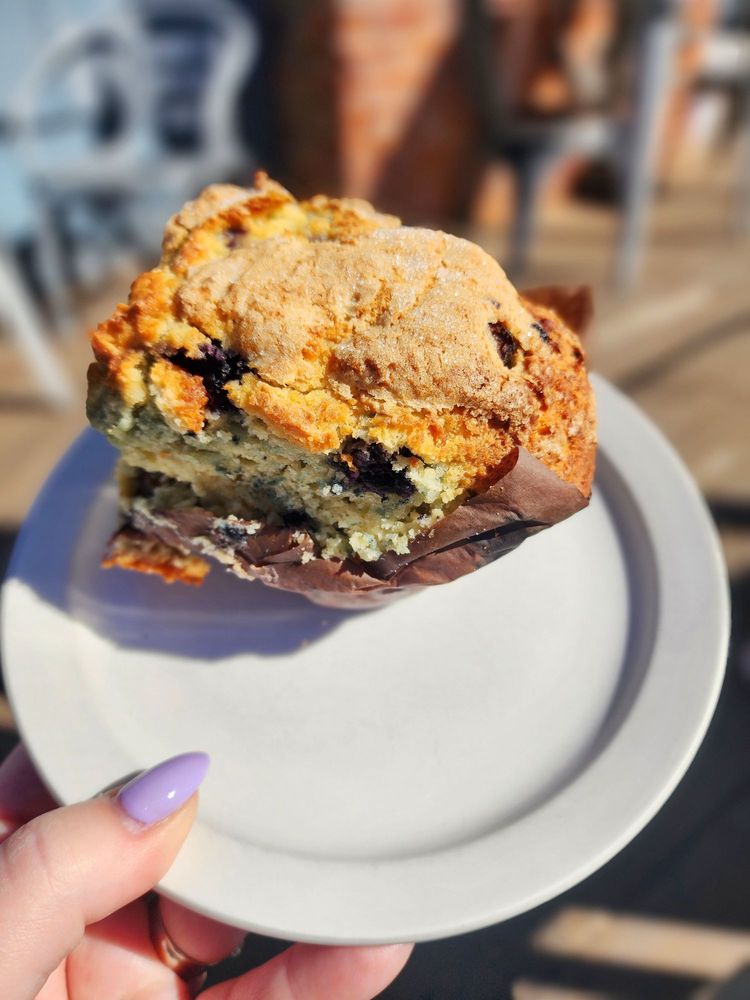 JAVA - Updated September 2025 - 140 Photos & 108 Reviews - 1612 N 13th ...