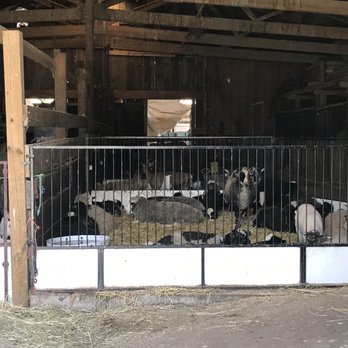 FOREST VIEW FARMS - Updated July 2024 - 57 Photos & 46 Reviews - 16717 ...