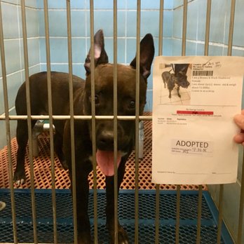 PINELLAS COUNTY ANIMAL SERVICES - Updated January 2026 - 13 Photos & 20 Reviews - 12450 Ulmerton ...