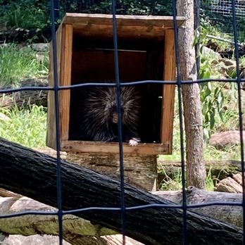 BRANDYWINE ZOO - Updated June 2025 - 177 Photos & 68 Reviews - 1001 N ...