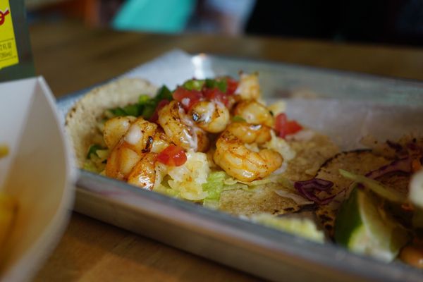 TUZA TACO - 353 Photos & 258 Reviews - 1523 Howell Mill Rd, Atlanta, GA ...