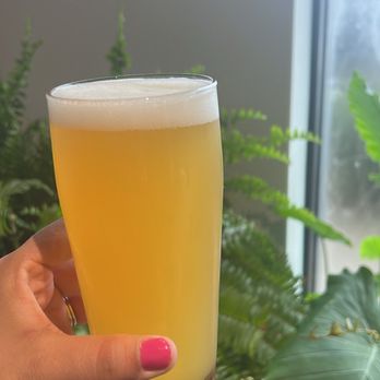 AUTODIDACT BEER - Updated October 2024 - 25 Photos & 19 Reviews - 1745 ...