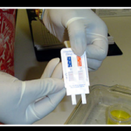 Accredited Drug Testing Reviews | Read Customer Service Reviews of ...