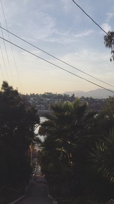 THE MATTACHINE STEPS - 11 Photos - Hiking - 2348 Cove Ave, Los Angeles ...