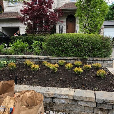 MMC LAWN CARE - Updated January 2026 - 35 Photos - Toronto, Ontario ...