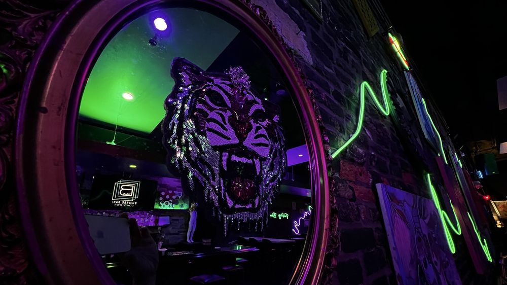 BIZARRE BAR DOWNTOWN - Updated September 2025 - 16 Photos - 300 Park ...