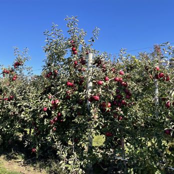 WICKHAM FARMS - Updated September 2025 - 321 Photos & 80 Reviews - 1315 ...