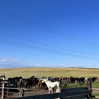 THE DIAMOND P RANCH - Updated October 2025 - 59 Photos & 71 Reviews ...