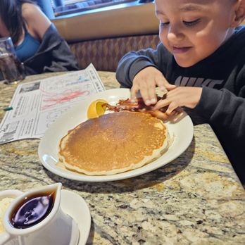 ATLANTIS PURPLE PARROT - Updated June 2024 - 425 Photos & 276 Reviews ...