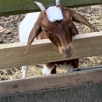 SUGAR ROOTS FARM - Updated December 2025 - 76 Photos & 13 Reviews ...