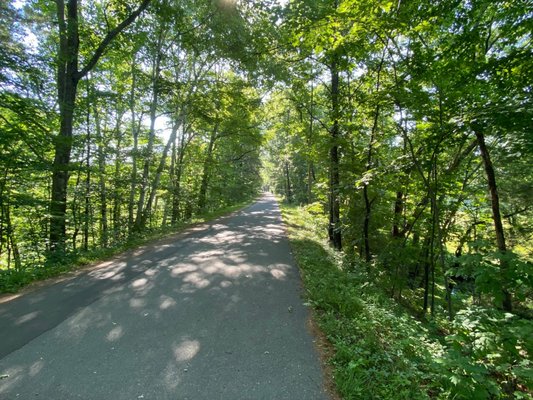 WINDHAM RAIL TRAIL - Updated November 2024 - 31 Photos & 16 Reviews - 6 ...