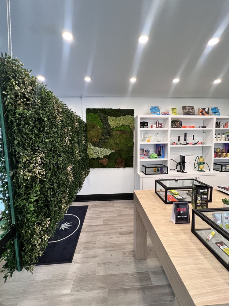 CANNABIS STATION - Updated December 2024 - 10 Photos - 2292 Keele ...