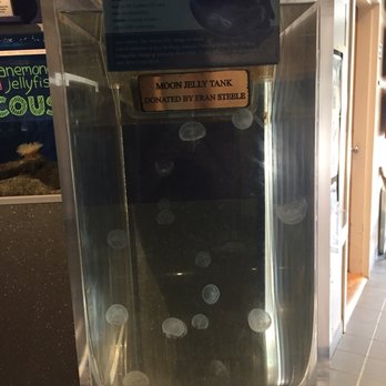 CAPE COD MUSEUM OF NATURAL HISTORY - Updated July 2024 - 41 Photos & 40 ...