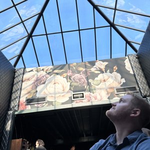 PINKY SWEAR - 18 Photos & 14 Reviews - 101 E Walnut St, Rogers ...