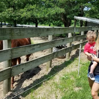 GIANT CITY STABLES - Updated October 2025 - 18 Photos - 722 Giant City ...