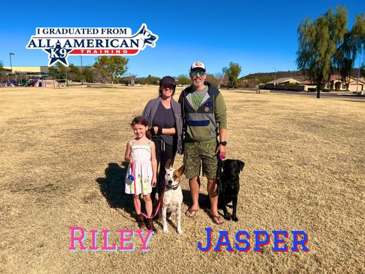 ALL-AMERICAN K-9 DOG TRAINING - 372 Photos & 260 Reviews - Phoenix, AZ ...