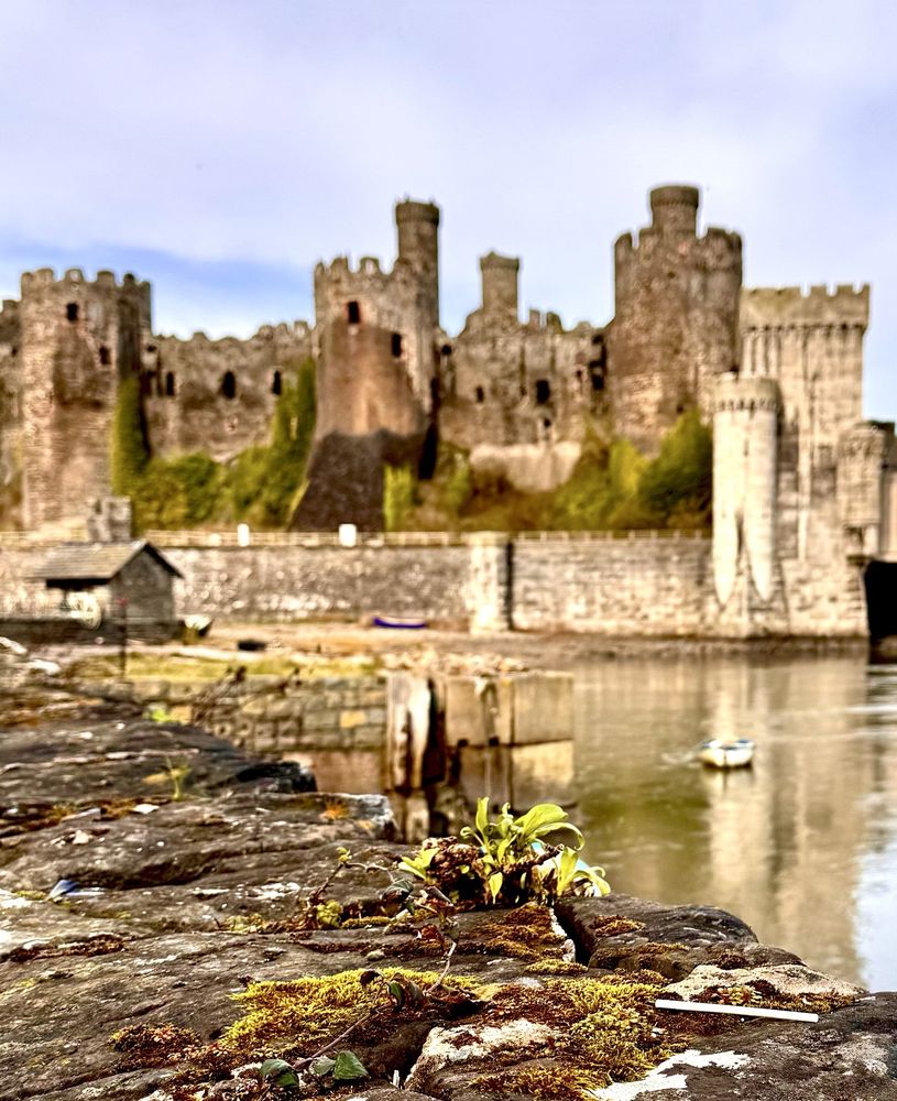 CONWY CASTLE - Updated August 2025 - 159 Photos & 37 Reviews - Rose ...