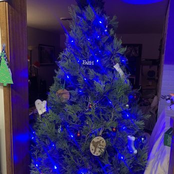 INDIAN ROCK TREE FARM - Updated December 2025 - 25 Photos & 38 Reviews ...