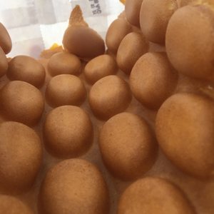 EGGETTES - 429 Photos & 597 Reviews - San Francisco, California ...