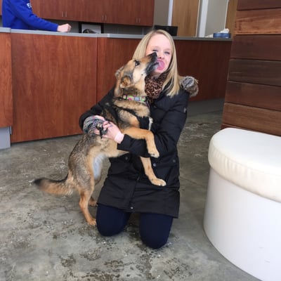 HUMANE ANIMAL PARTNERS - Updated September 2025 - 33 Photos & 11 ...