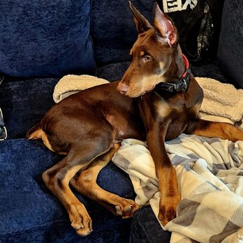 DR. BUTCHKO - Updated August 2024 - 43 Photos & 74 Reviews - 5448 ...