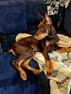 DR. BUTCHKO - Updated January 2026 - 52 Photos & 94 Reviews - 5448 ...