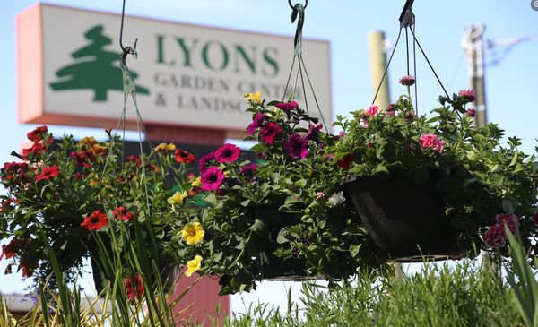 LYONS LANDSCAPING & GARDEN CENTRE - Updated May 2026 - 61 Photos ...