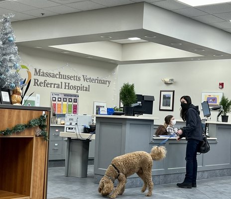 MASSACHUSETTS VETERINARY REFERRAL HOSPITAL - Updated August 2025 - 68 ...