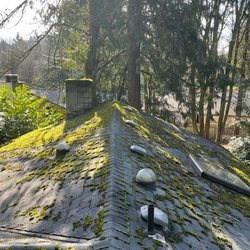 MOSS BUSTERS - 40 Photos & 183 Reviews - 10367 SE Helena St, Portland ...