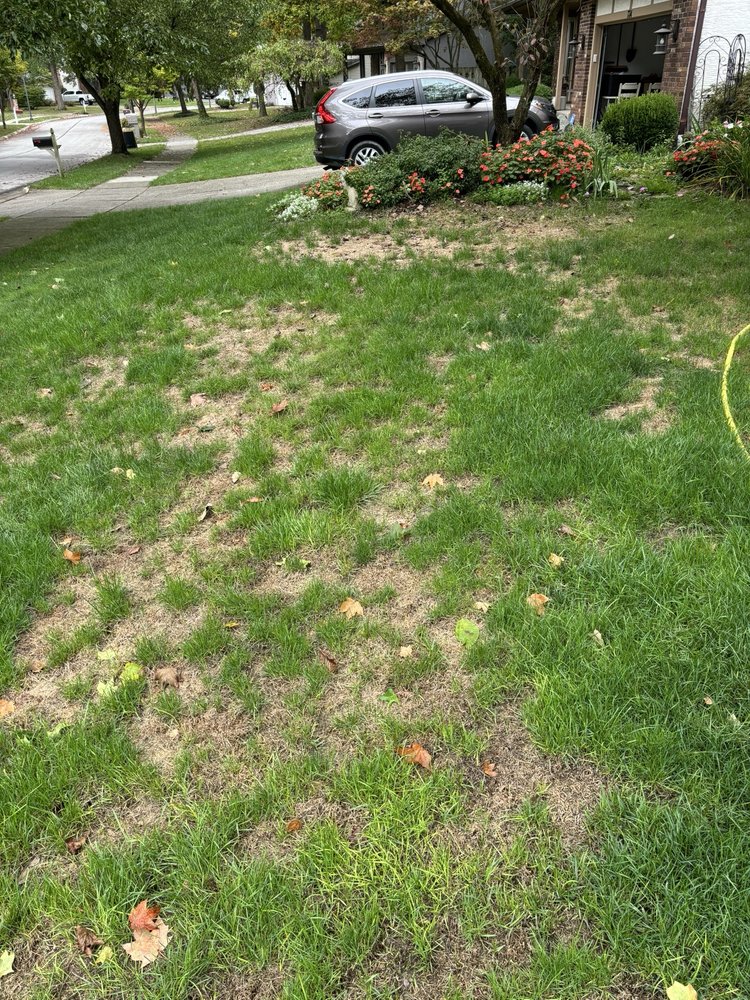 CARDINAL LAWNS - Updated January 2026 - P.O. Box 30861, Gahanna, Ohio ...